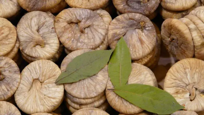 15 Best Foods mentioned in the Quran and Hadith