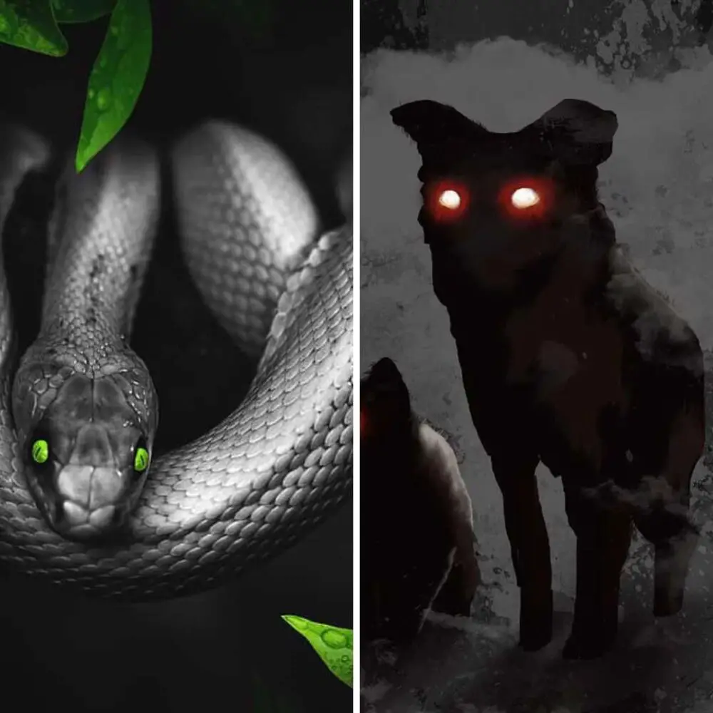 Types of Jinn in Islam according to the Quran and Sunnah