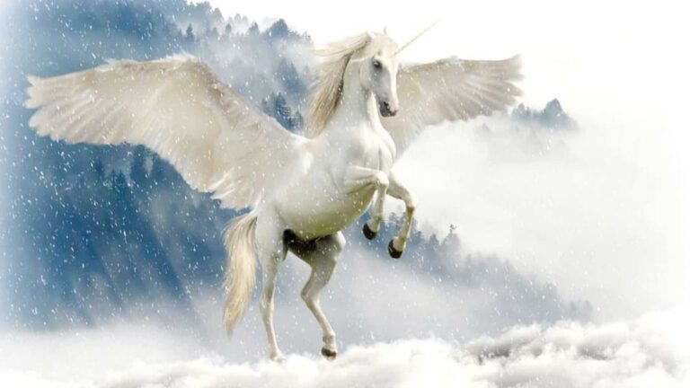 Buraq in Islam: Flying Horse that carried the Prophet (pbuh)