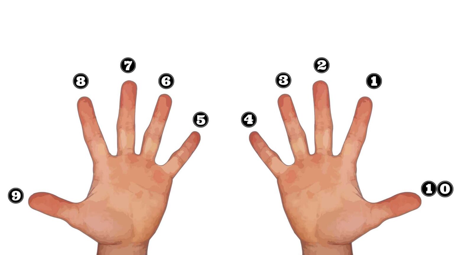 Nail Cutting in Islam: Nail Cutting Sunnah we should Follow