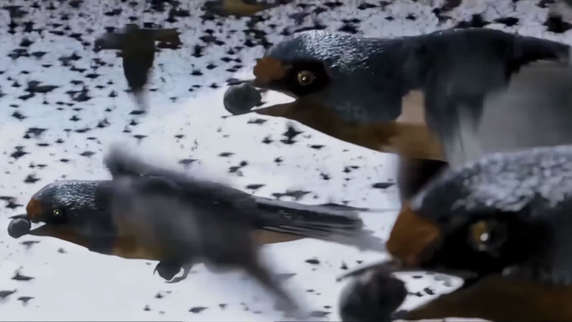 Story of Abraha's Attack on Kaaba and Year of the Elephant