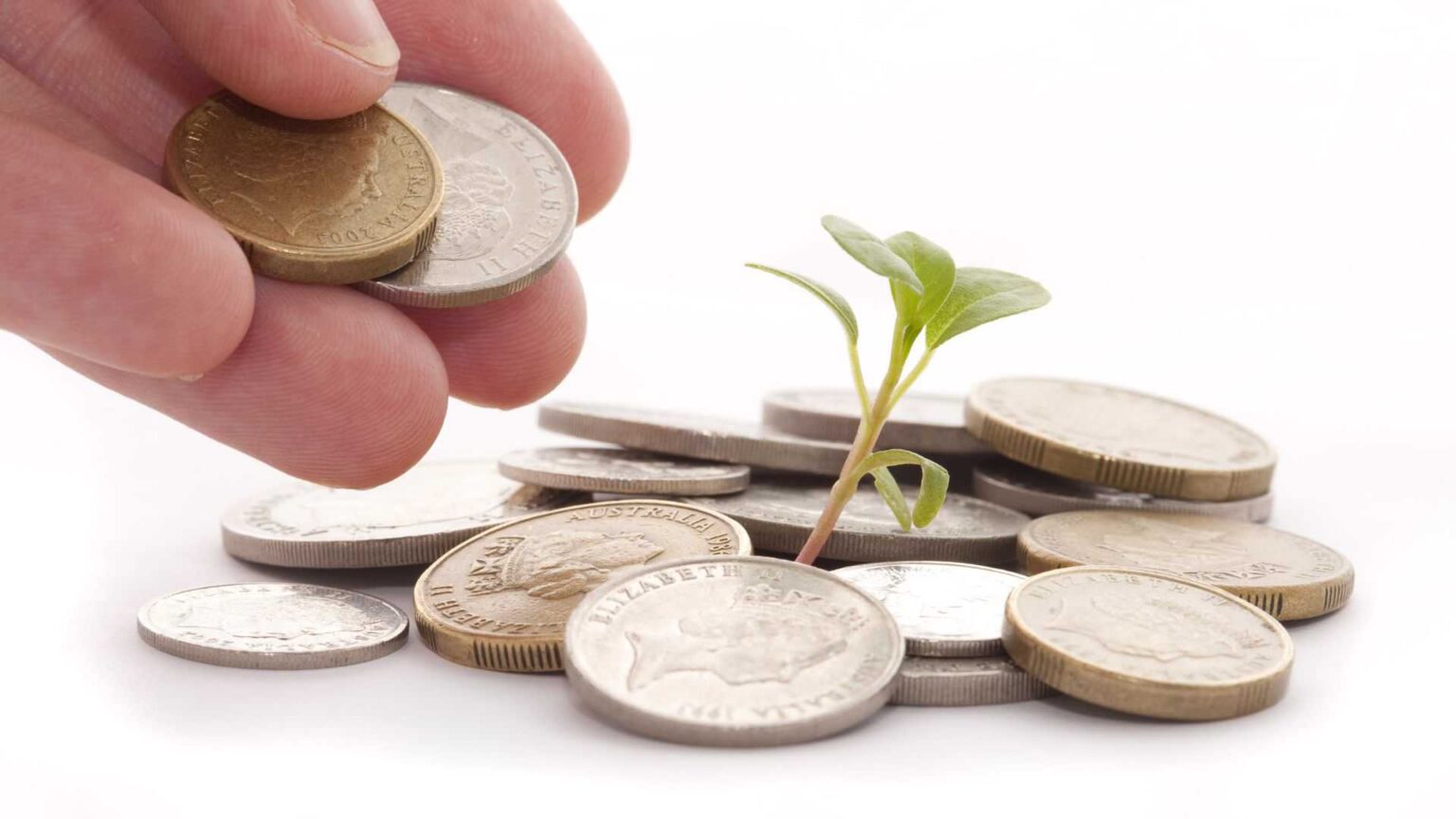 The Dabbat al-ard (Beast of the Earth) in Quran and Hadith